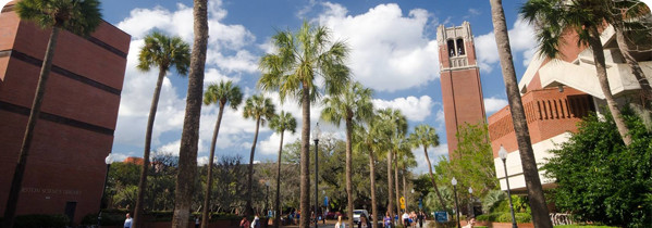 University of Florida Merit - UF CJC Online Master's