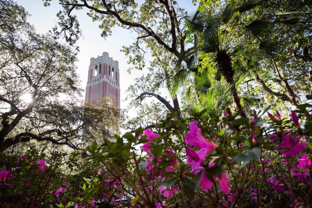University of Florida's iconic Century Tower surrounded by spring ...