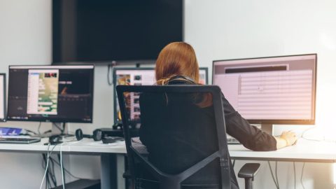 How Digital Journalists Combat Online Misinformation